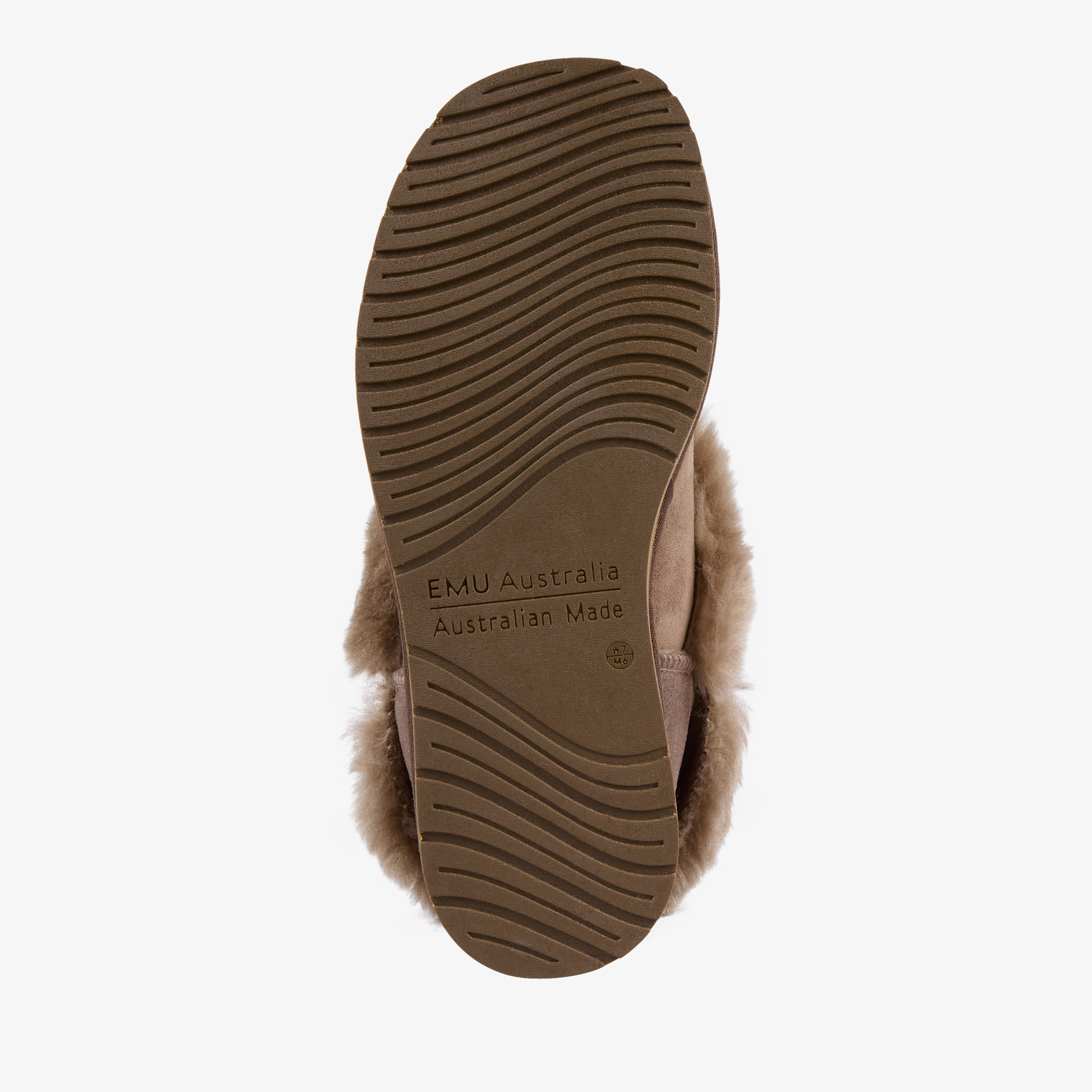 Platinum Mintaro MUSHROOM | EMU Australia