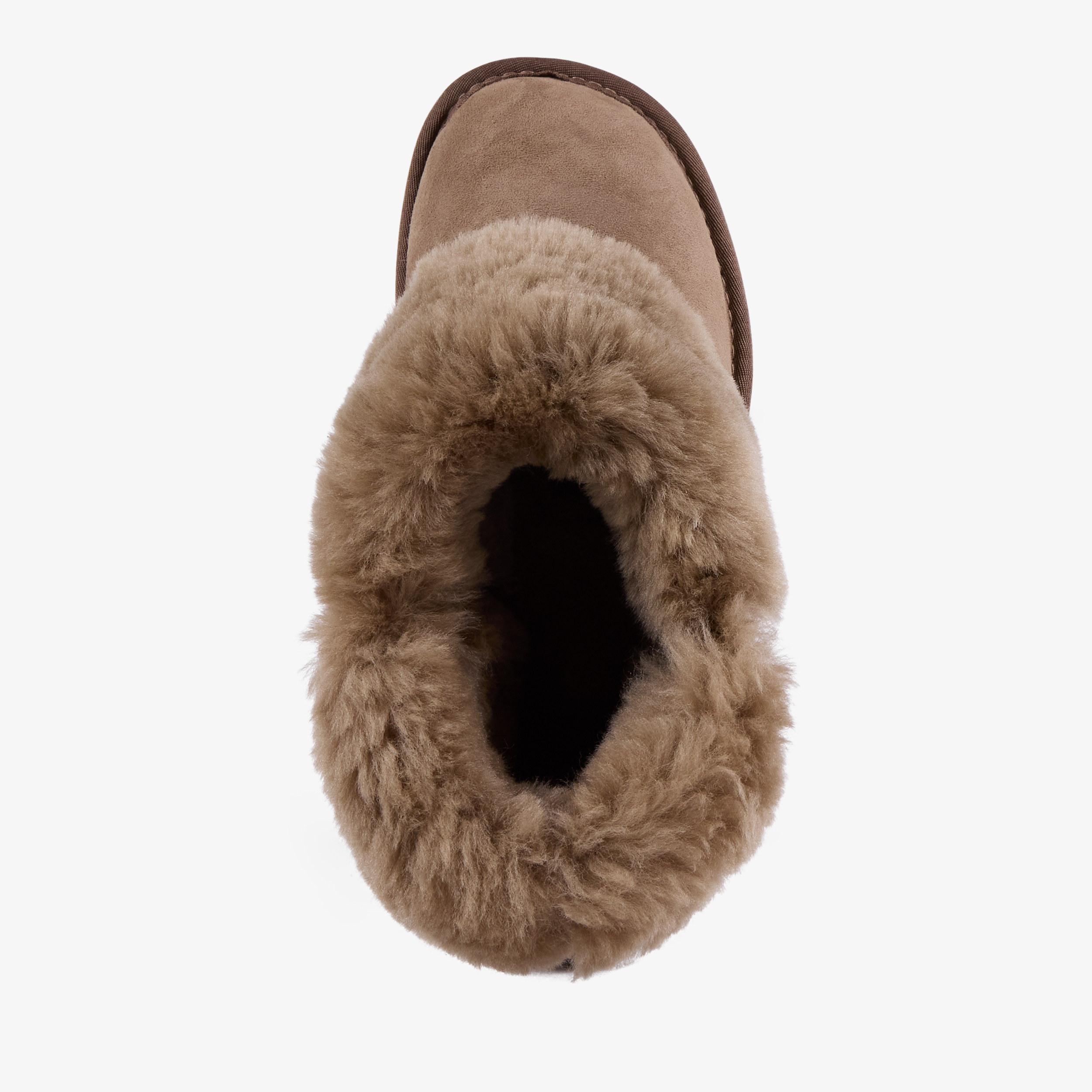 Platinum Mintaro MUSHROOM | EMU Australia